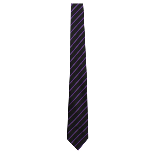Debenham High School Austen House Tie - Purple