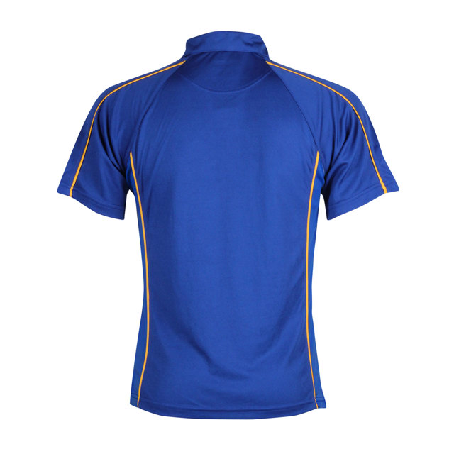 Anglo European School PE Polo Shirt