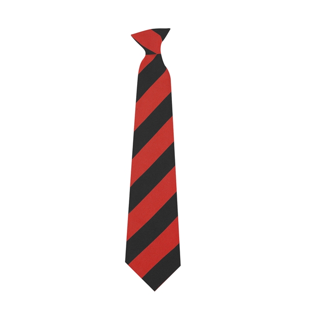 Alcester Grammar School Years 10-11 ONLY School Tie