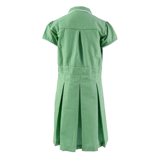 Green Gingham Summer Dress