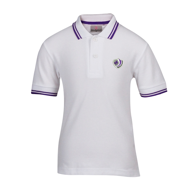 Studfall Academy Polo Shirt With Stripe | Price & Buckland